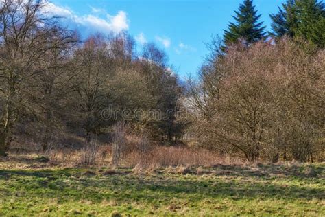 Landscape View Of A Grassy Deserted Field For Agriculture And Gardening