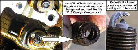 Engine Oil Coming Out Of Exhaust Causes And Prevention In The Garage