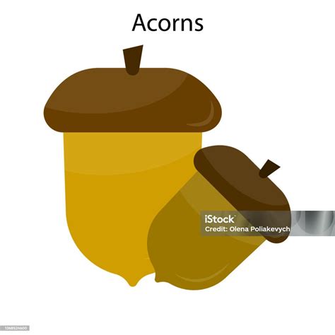 도토리 기호 음식 로고 가을 시즌 오크 기호 자연 개념 심플한 디자인 벡터 그림입니다 스톡 이미지 0명에 대한 스톡 벡터 아트 및 기타 이미지 Istock