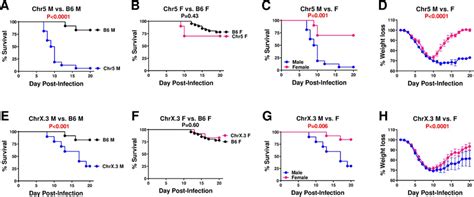 Genotype Dependent Sex Differences In Iav Susceptibility Of B6 Chr Pwd Download Scientific