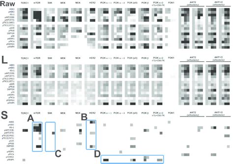 Drug Induced Perturbation Experiments 5 16 Perturbations×15 Gene Download Scientific Diagram