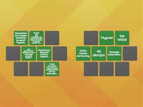 Thypoid Matching Pairs