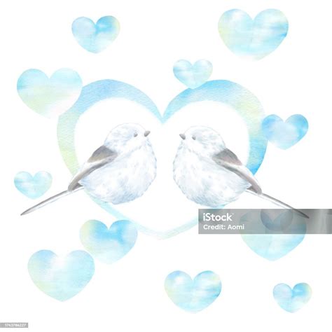 두 개의 긴 꼬리 가슴이 서로 마주보고 있는 로맨틱하고 귀여운 배경 그림입니다 0명에 대한 스톡 벡터 아트 및 기타 이미지 0명 12월 1월 Istock