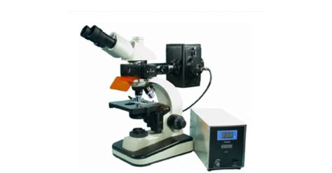 Buy Fluorescent Microscope Get Price For Lab Equipment