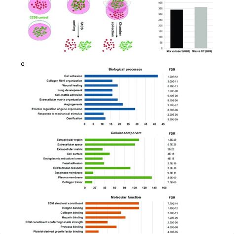 Ppi Network Analysis Using String Online Database And Cytoscape Download Scientific Diagram