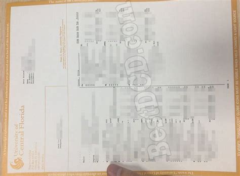 Buying Ucf Fake Transcript Buy Fake Central Florida Diplomas Online
