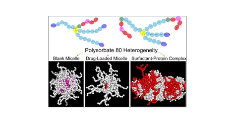 Coarse Grained Molecular Dynamics Simulation Of Heterogeneous Polysorbate 80 Surfactants And