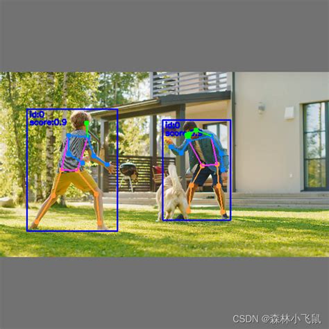 Yolo Pose端到端多人姿态估计与目标检测框架 Csdn博客