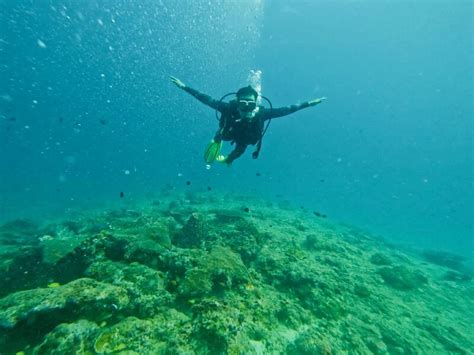 Vipul Manocha On Linkedin Coporate Sports Sportsbiz Diving Padi