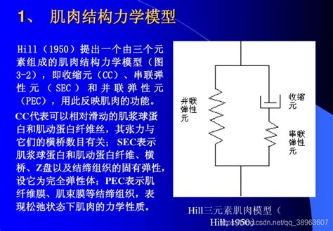 Opensim使用过程问题汇总（1）opensim模型不全 Csdn博客
