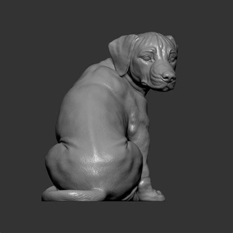3d Printable Rhodesian Ridgeback Puppy Looking Back By Alexander3dart
