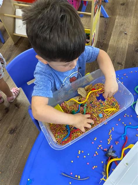 Our New Sensory Buckets Odyssey Early Learning At Weber