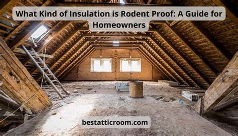 What Kind Of Insulation Is Rodent Proof A Guide To Choosing