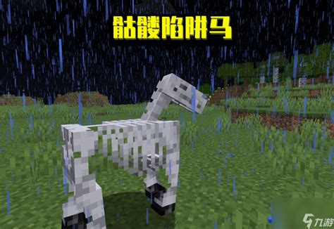 骷髅马 水下坐骑 我的世界 关于骷髅马 你可能不知道的 我的世界 九游手机游戏