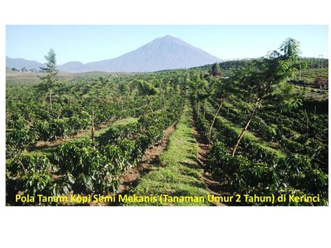 Mewujudkan Kejayaan Kopi Jawa Barat Di Kancah Internasional Perspektif Komunitas Seminar