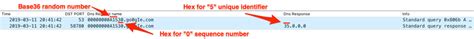 DNS Tunneling In The Wild Overview Of OilRigs DNS Tunneling