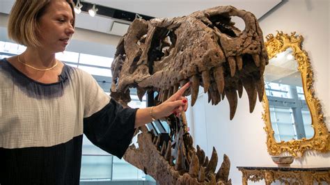 Why The Sale Of A T Rex Fossil Could Be A Big Loss For Science