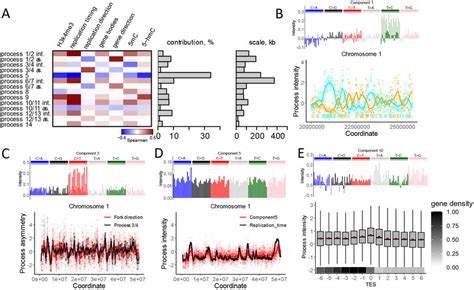 Mutational Processes Are Associated With Distinct Genomic Features
