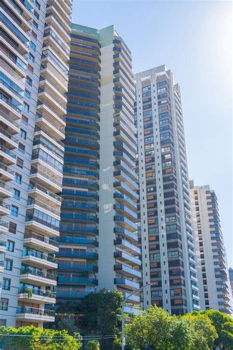 Edificios Altos Rodeados De Exuberantes árboles En Un Entorno Urbano