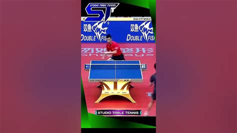 Deadly Topspin Forehand Zhang Jike Zhangjike Tabletennis Topspin Forehand Pingpong Shorts