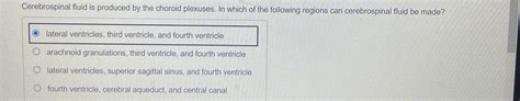 Solved Cerebrospinal Fluid Is Produced By The Choroid