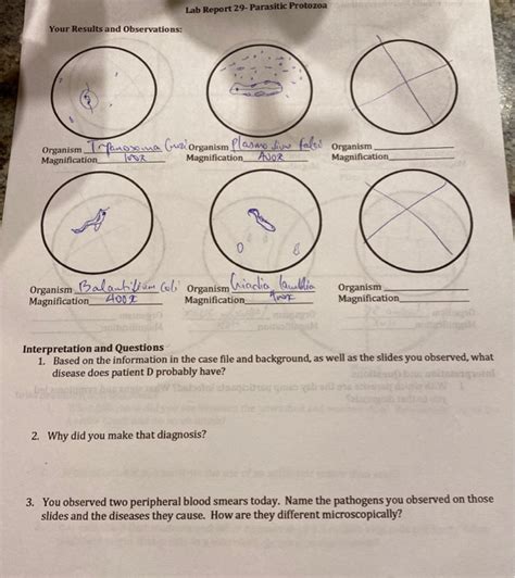 Solved Lab Report Parasitic Protozoa Your Results And Chegg Com