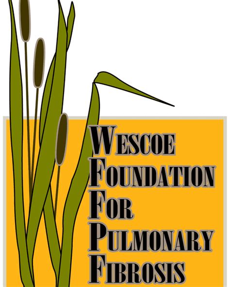 have you ever wondered what is the meaning of wescoe foundation logo wescoe foundation for