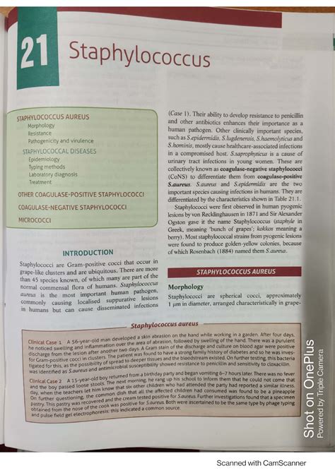 Staphylococcus 1 Morphology Cultural Characters Biochemical Reactions Pathogenesis Lab