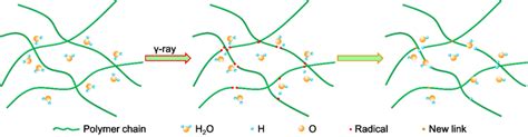 Schematic Illustration Of Proposed Mechanism Of Coupling Effects Of Download Scientific Diagram