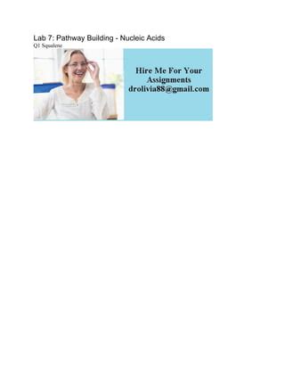 Lab 7 Pathway Building Nucleic Acids Q1 Squalene Pdf