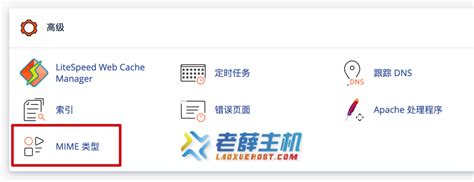 如何在 cPanel 中配置自定义 MIME 类型 老薛主机帮助中心