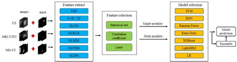 Workflow Of Conventional Radiomics From Multimodal Data We Extracted