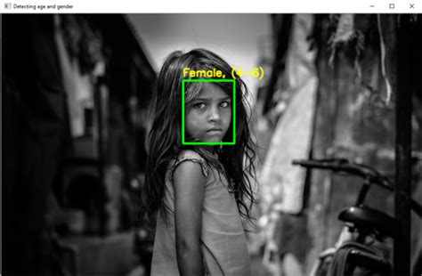 Interesting Python Project Of Gender And Age Detection With OpenCV DataFlair