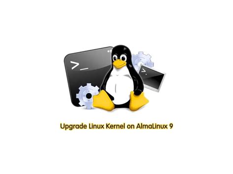 Reset Linux Root Password On Debian 12 Bookworm Easy Steps