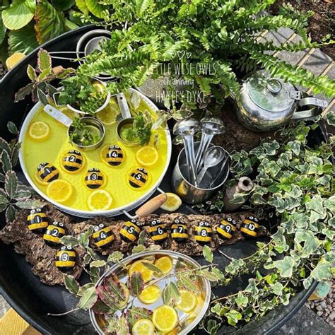 World Bee Day Activities For Early Years Settings Twinkl