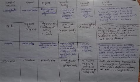 Solved Biological Monomer Polymer Types Of Elements Health Example