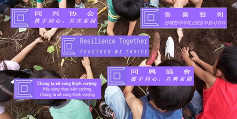 Types Of Resilience Resilience Together Association