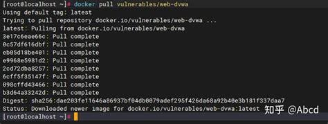 Docker Dvwa