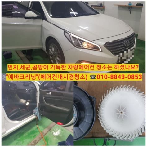 에어컨쉰냄새악취 자동차에어컨냄새 제천에바크리닝 제천에어컨내시경청소 제천시 강제동 쏘나타 에어컨냄새악취제거 에바크리닝 출장픽업시공 문의010 8843