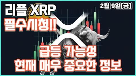 리플 Xrp 필수 시청 급등 가능성 현재 매우 중요한 정보 Youtube