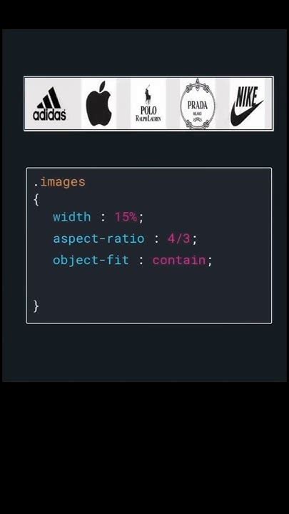 Adjust Logo Using Css Css Webdesign Cssdesign Csshtml Youtube