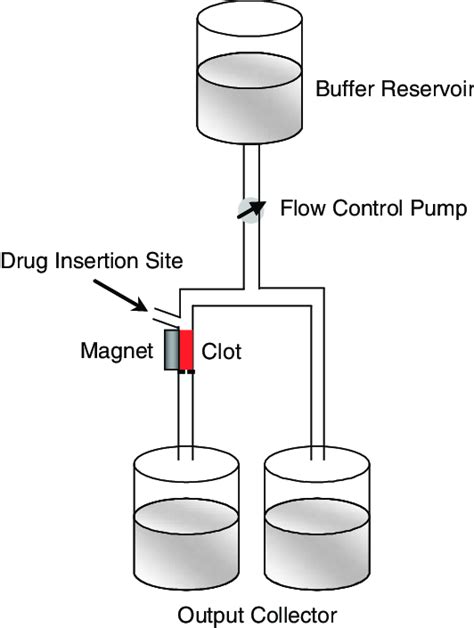 Schematic Diagram Of Dynamic Flow Model To Evaluate Thrombolysis