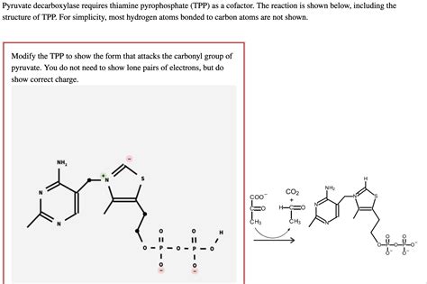 Solved Pyruvate Decarboxylase Requires Thiamine