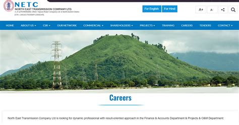 Netc Opportunities 2025 Apply For Engineering And Finance Roles In Delhi
