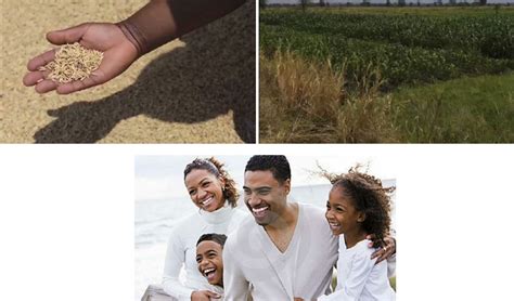additional material pictures on farming olr and mlr showing happy