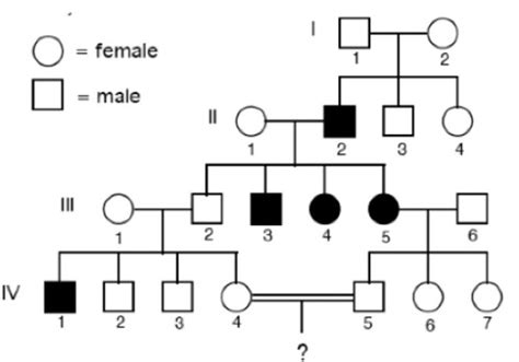 Genetics Single Gene Inheritance Flashcards Quizlet