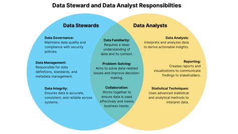 Data Stewards Vs Data Analysts Whos Doing What With Your Data