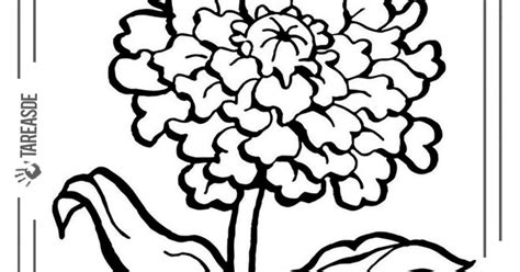 Flor De Cempasúchil Para Colorear Aplicaciones Para Hacer