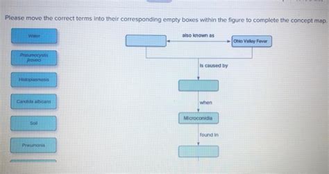 solved please move the correct terms into their