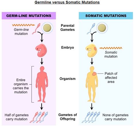 学术资源 临床测序中基因变异分析的最佳实践